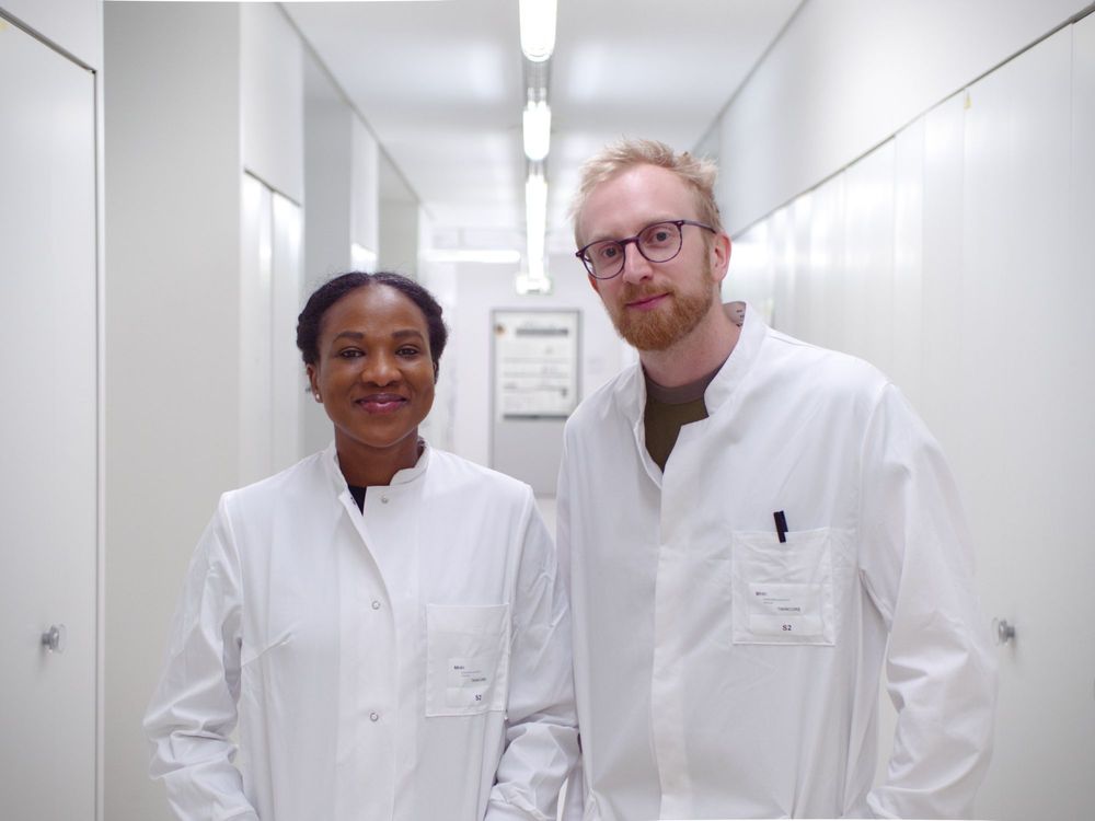 TWINCORE - Interface between basic research and clinical practice