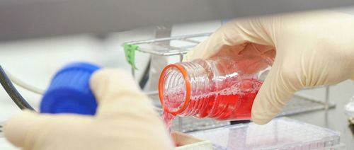 Kalinke Lab - Research