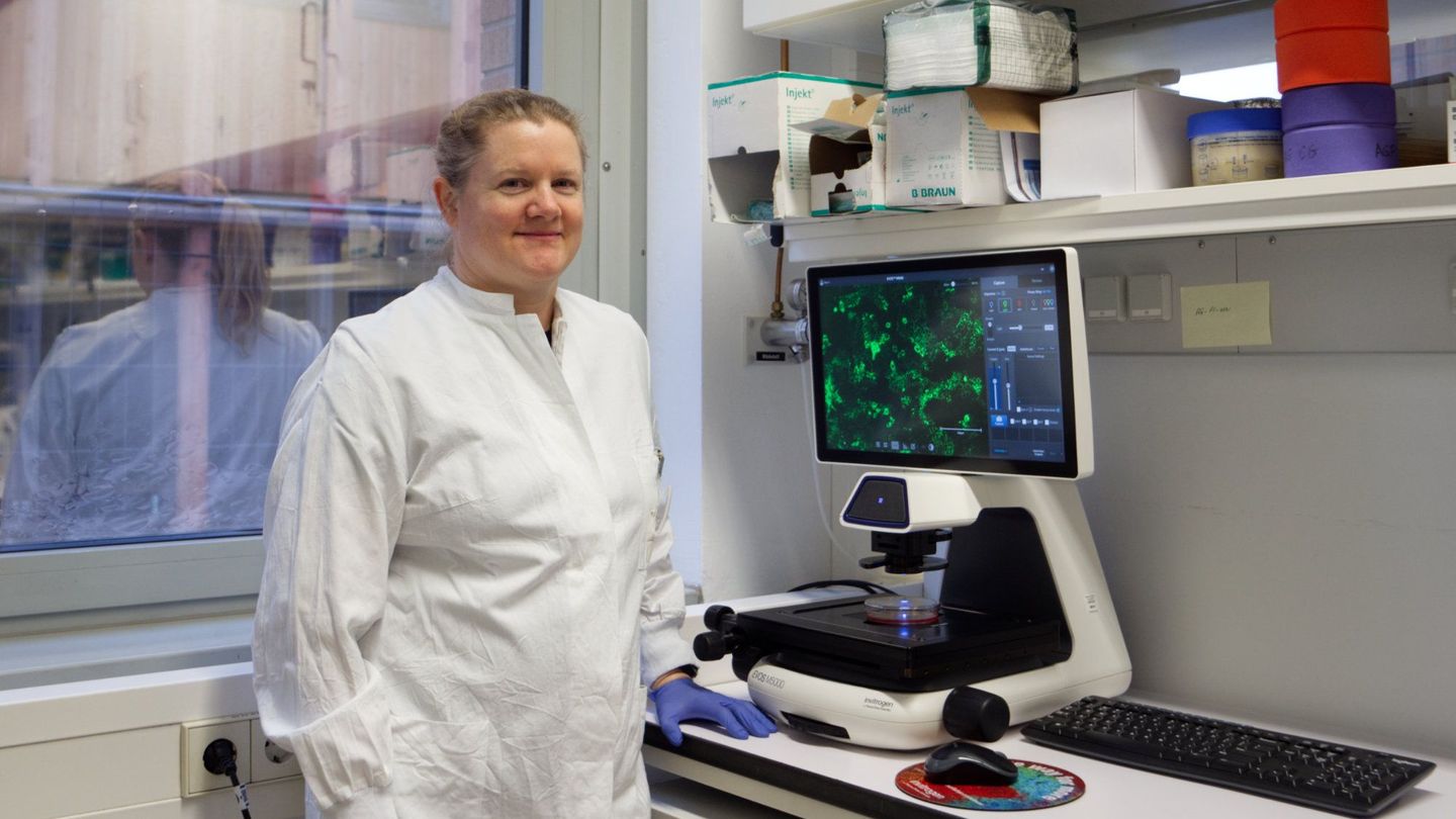 TWINCORE - Interface between basic research and clinical practice