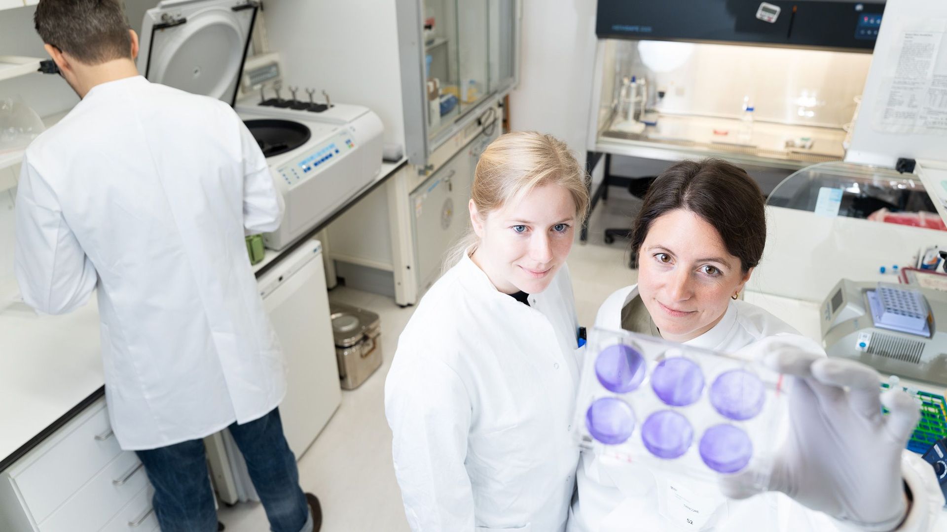 TWINCORE - Interface between basic research and clinical practice