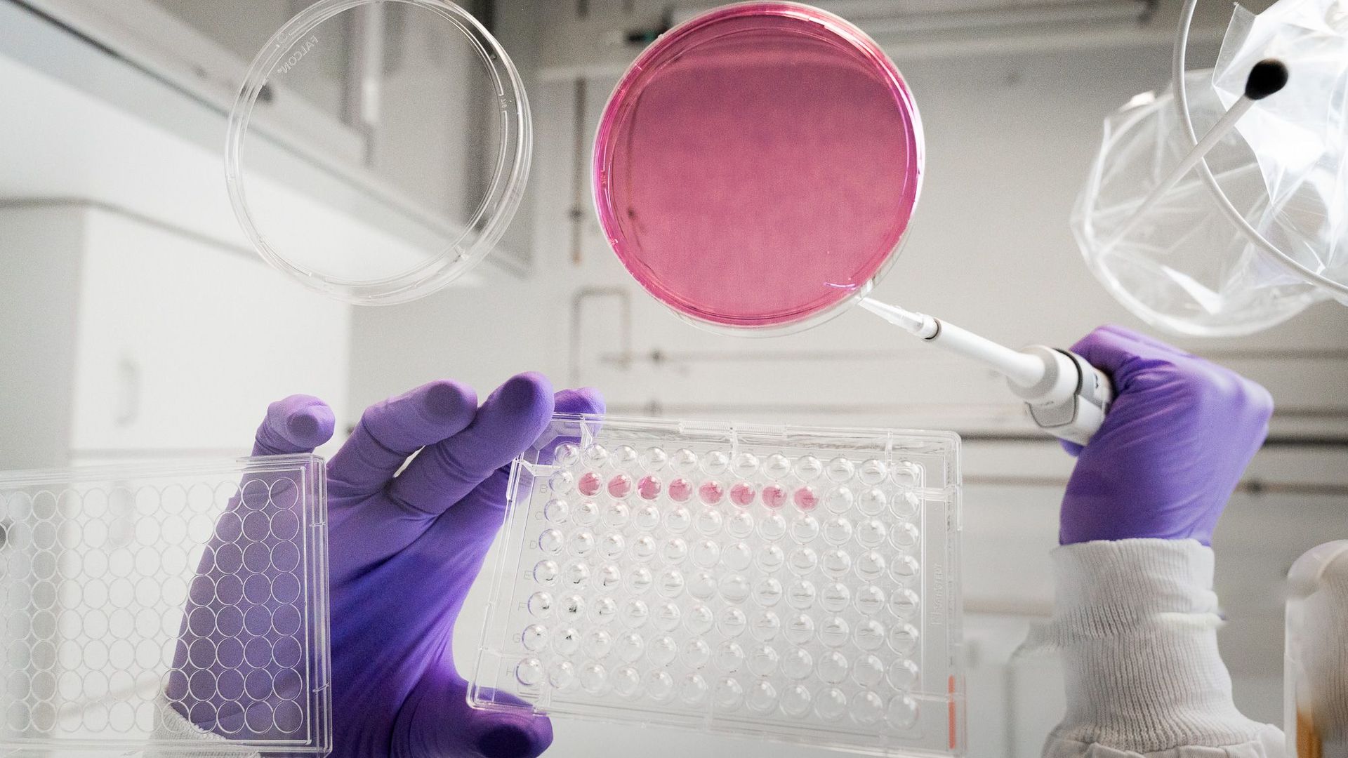 Our Current Research Projects